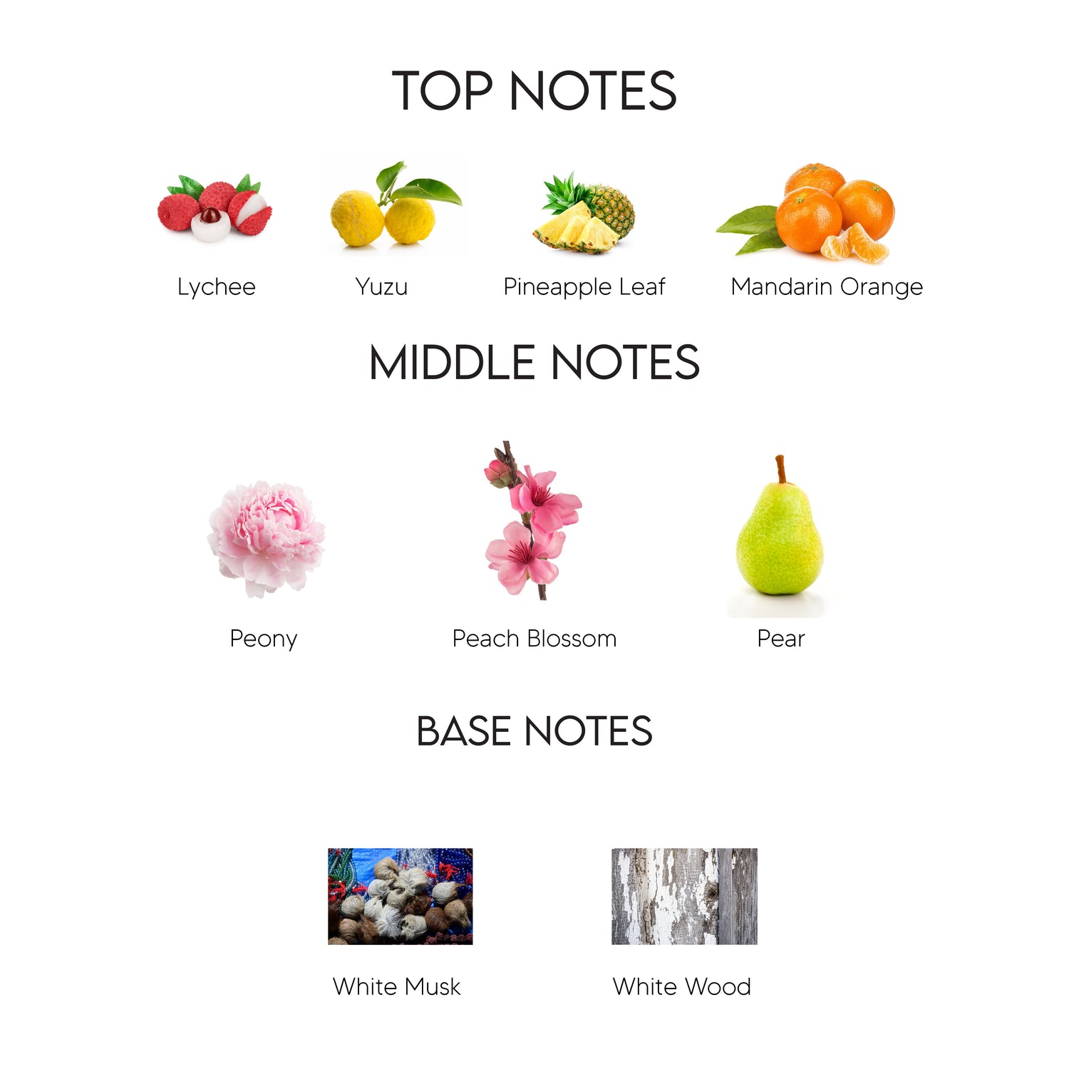 Burberry Brit Sheer Eau De Toilette for Women 100ML - Sahara Perfumes