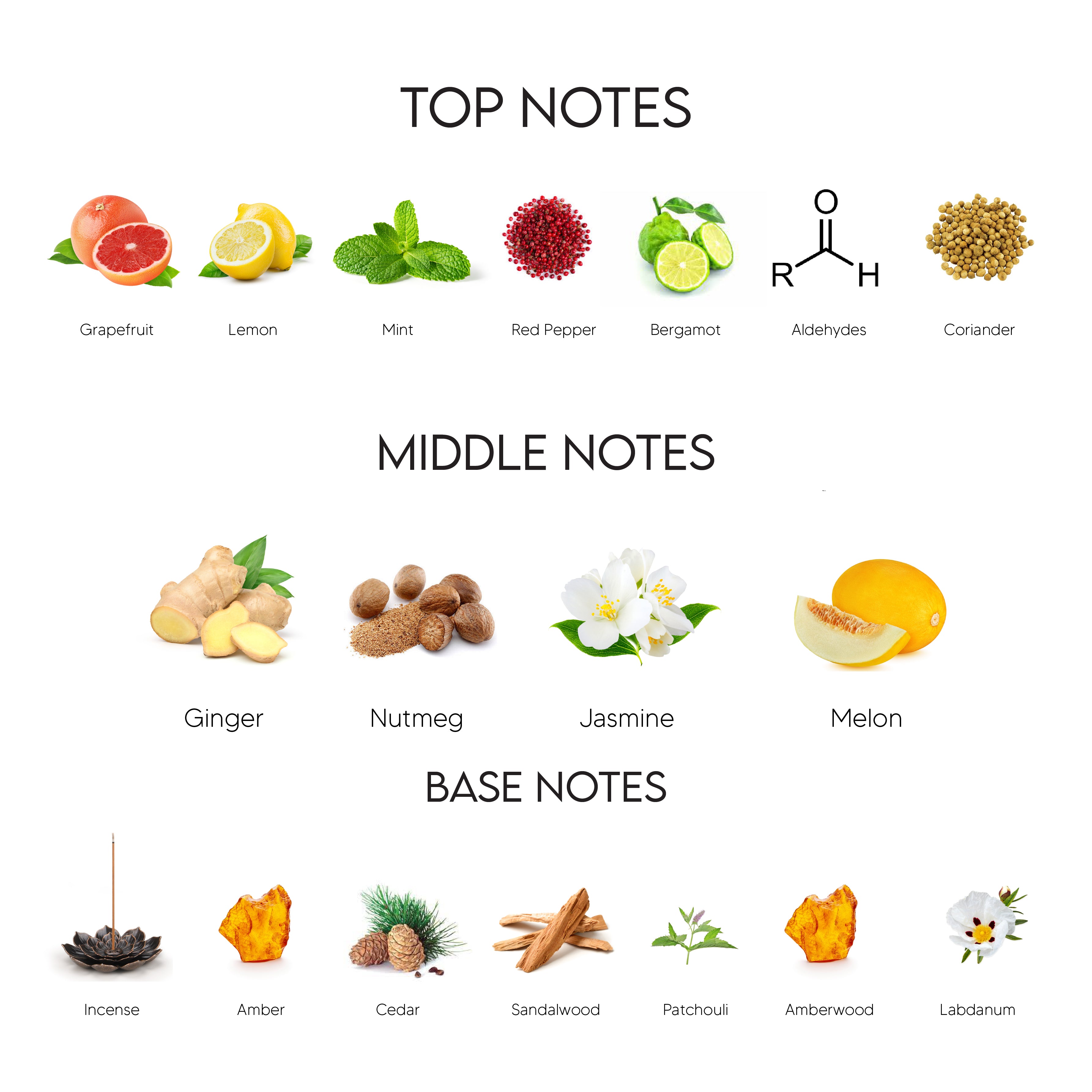 Chanel Bleu Eau De Parfum for Men 100ML - Sahara Perfumes