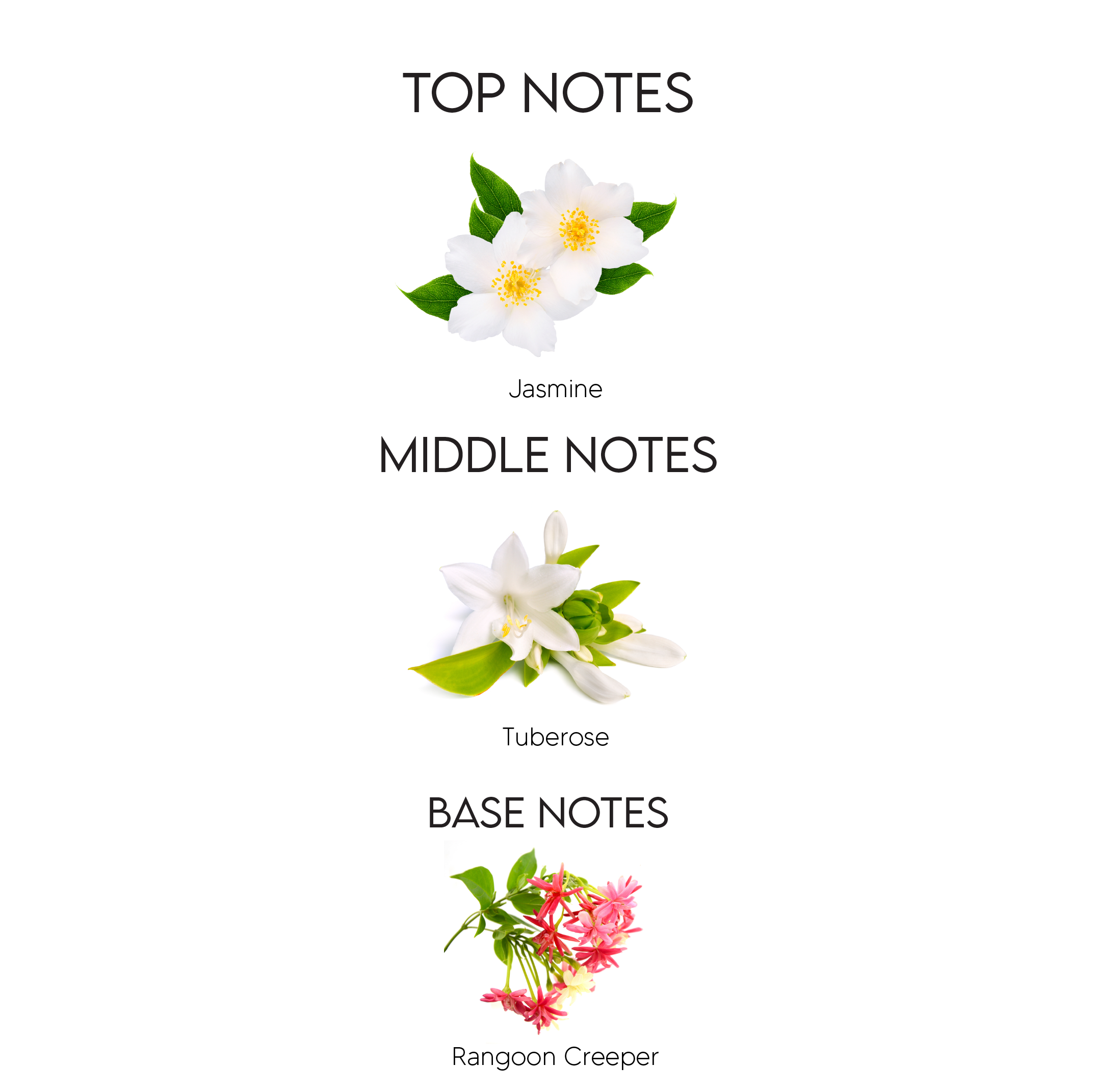 Gucci Bloom Eau De Parfum for Women 100ML - Sahara Perfumes